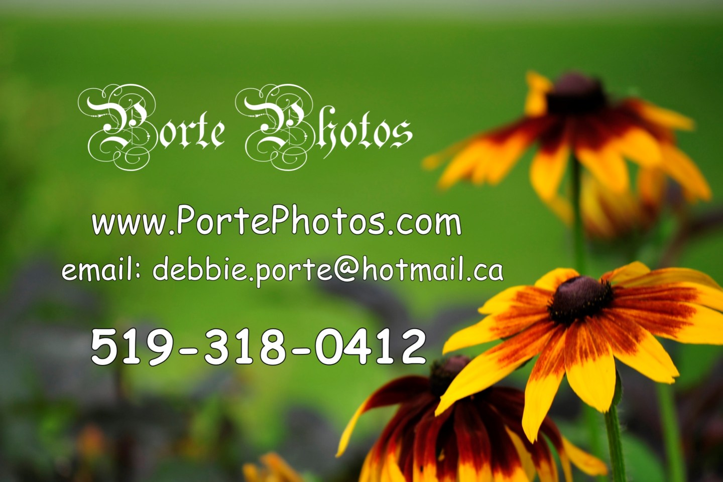 Porte Photos’ Daily Pic: Sunday, January 11th, 2026 – Sir John A ...